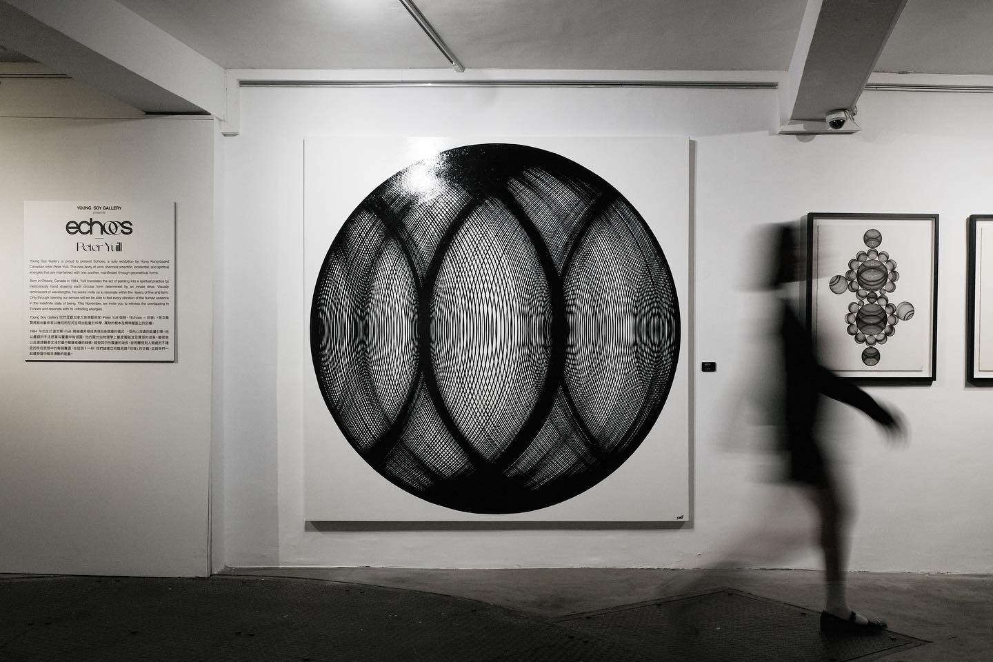 Vain Projects - Art Central